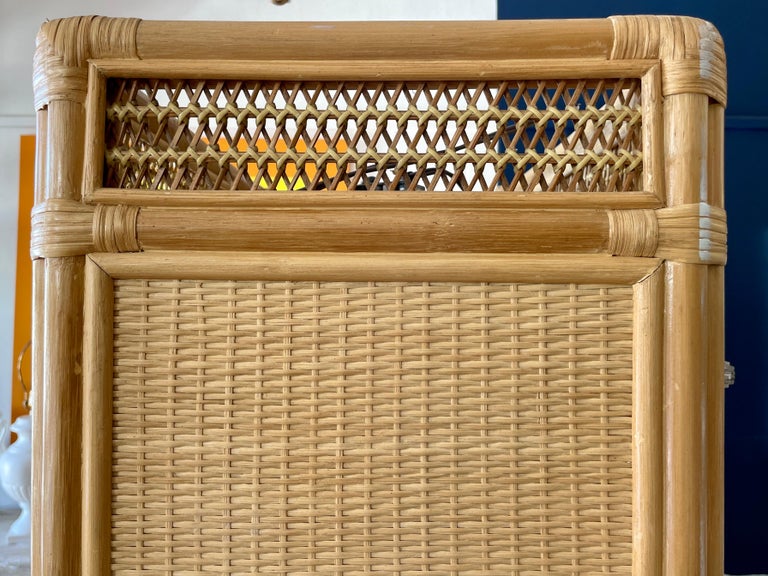 Boho Chic Raffia and Rattan Display Cabinet For Sale at 1stDibs