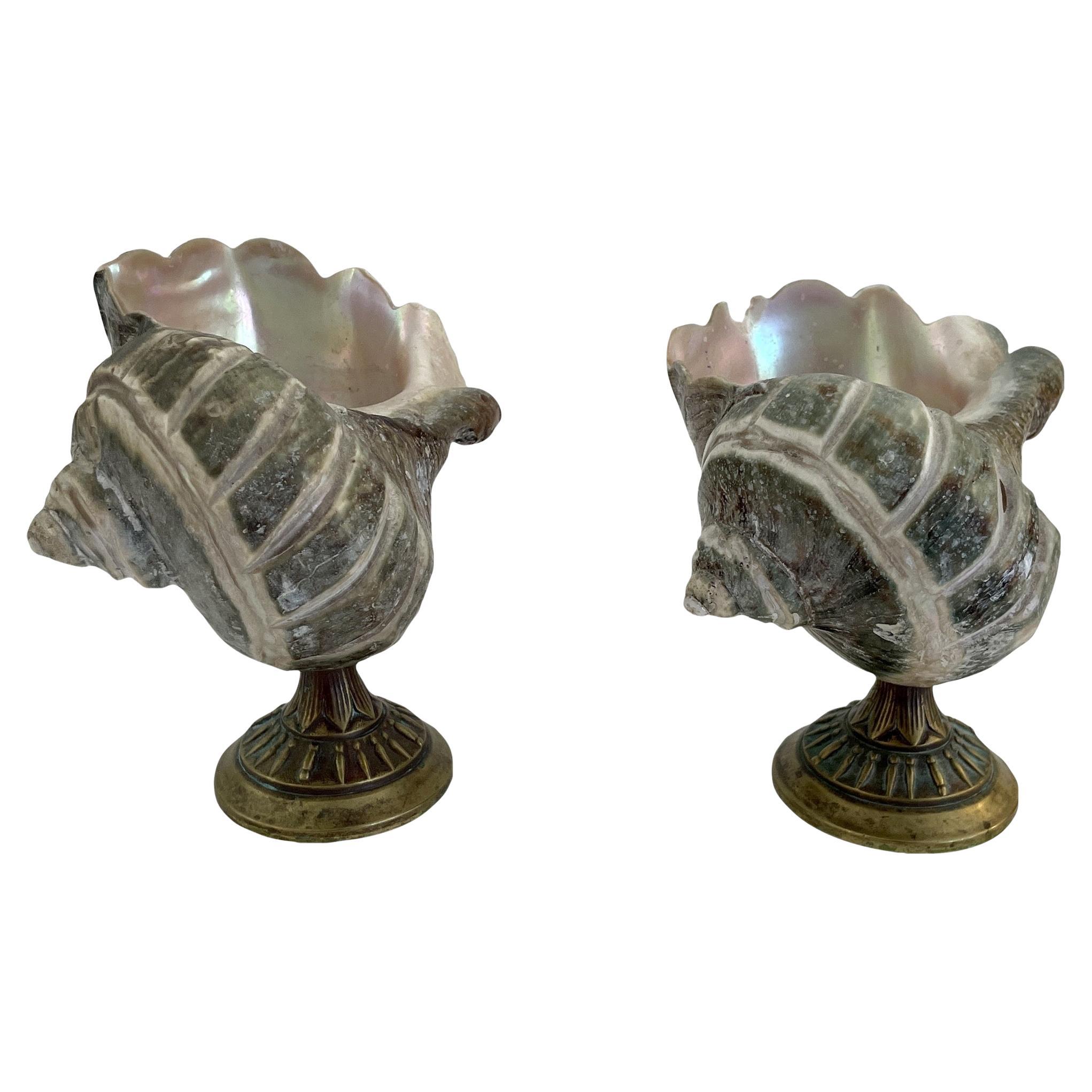 Nautical Brass Sea Shell on Starfish Base Planter For Sale at 1stDibs