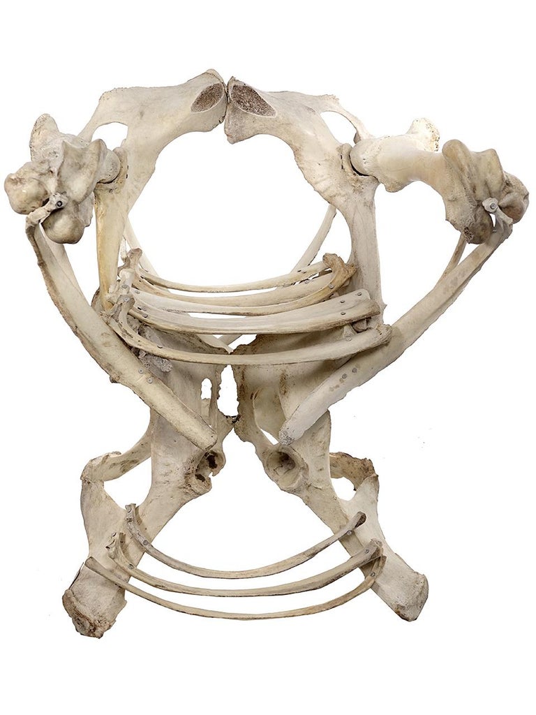 Bone Armchair at 1stDibs | bone chair, bones chair, bony armchair