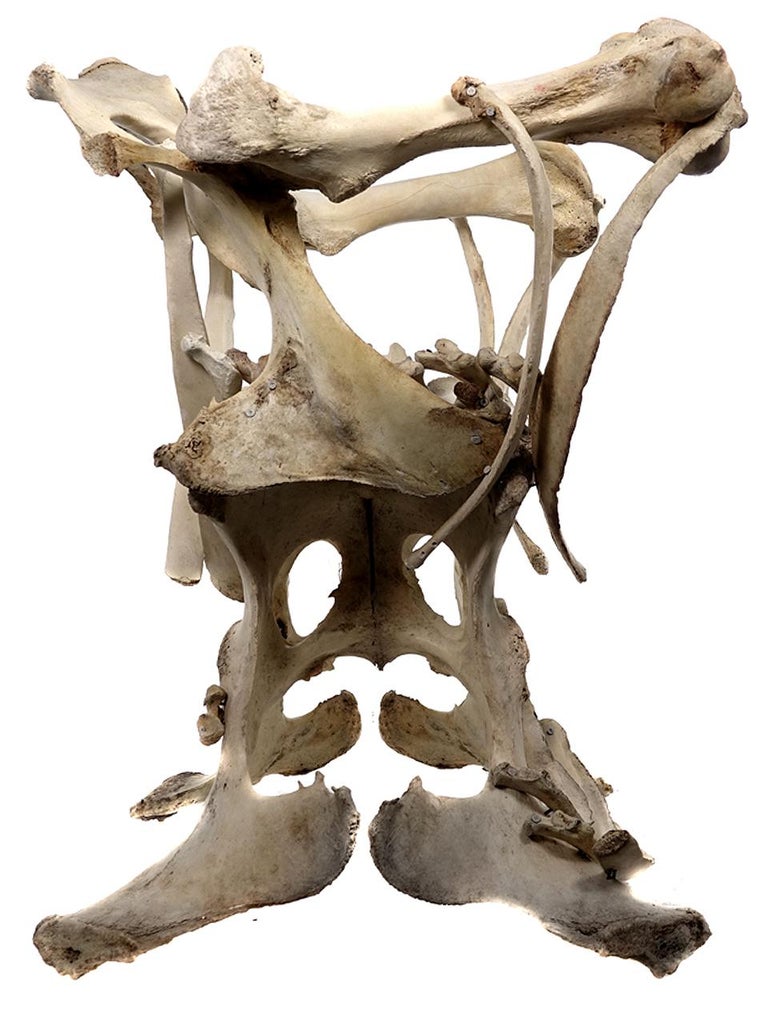 Bone Armchair at 1stDibs | bone chair, bones chair, bony armchair