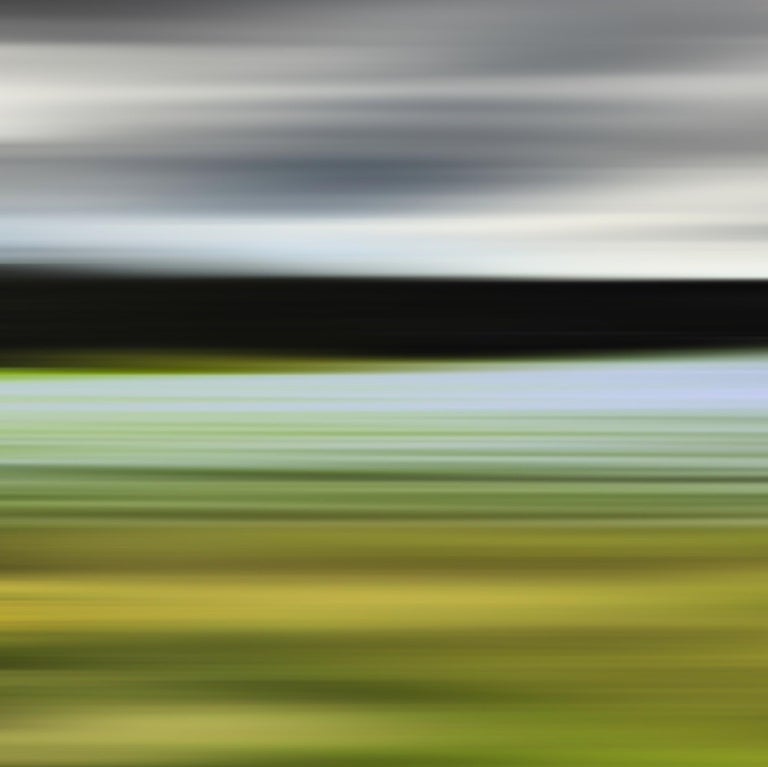 Bonnie Edelman "Blue Grass of Sweden" Photograph, Scapes Series, 2014 ...