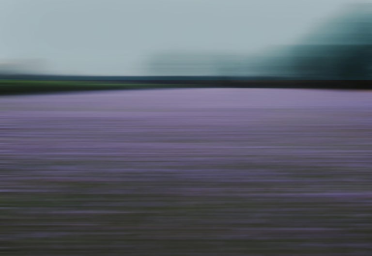Bonnie Edelman "Lavender Field at Dusk, Germany" Photograph, Scapes ...