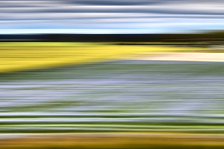 Bonnie Edelman "Lavender Weeds in Sweden" Photograph, Scapes Series ...