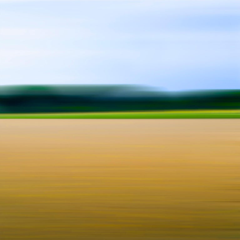 Bonnie Edelman "Sprouting Wheat Field Golden" Photograph, Scapes Series ...