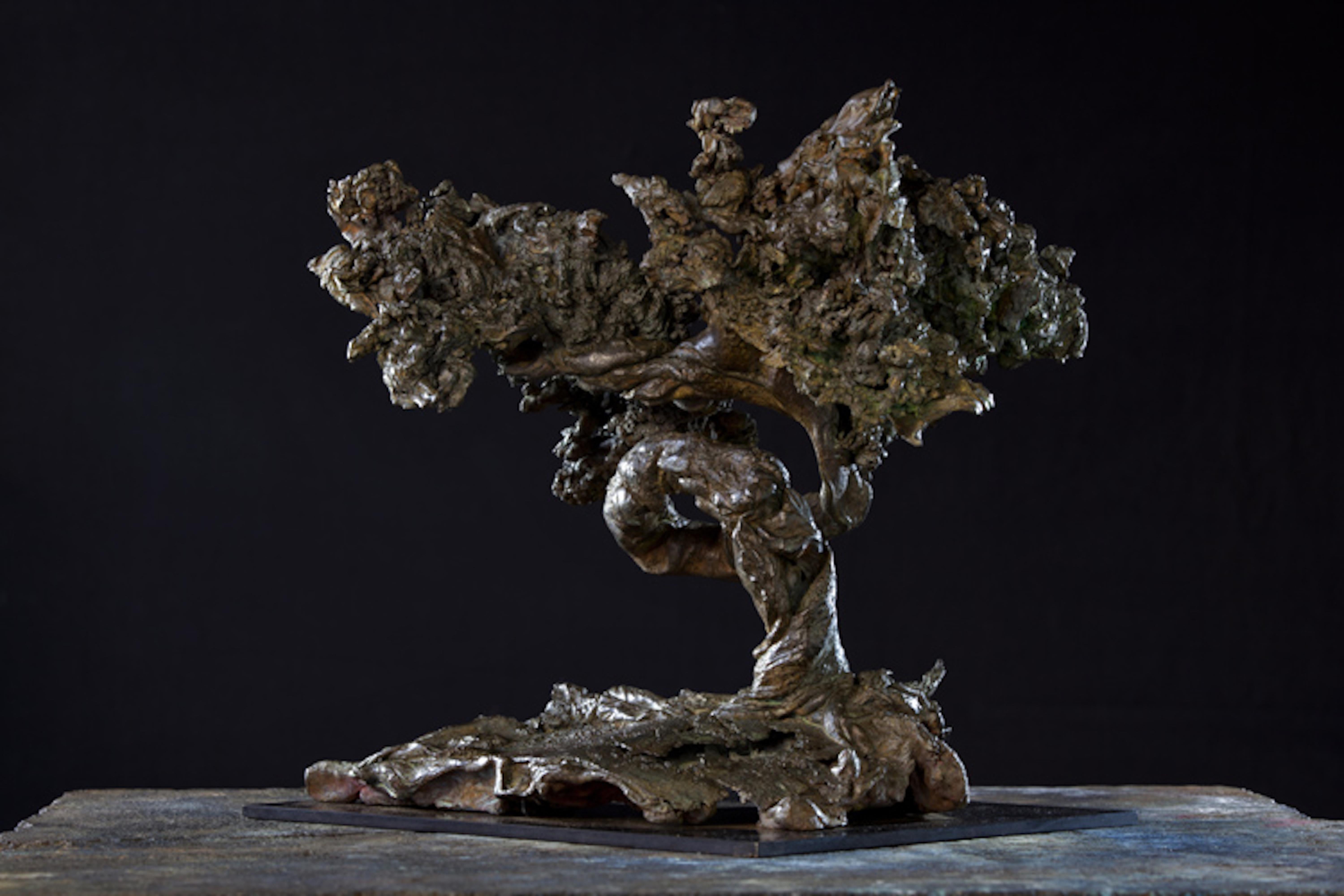 Bonsai - Niki Stylianou For Sale at 1stDibs