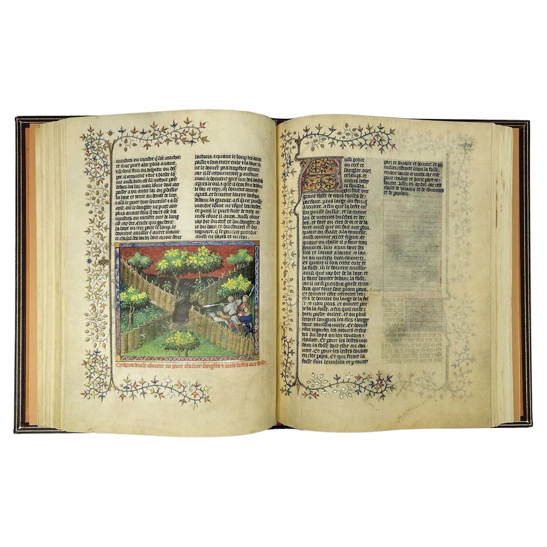 LIVRE DE LA CHASSE de Gaston Fébus - Fac-similé à tirage limité unique ...