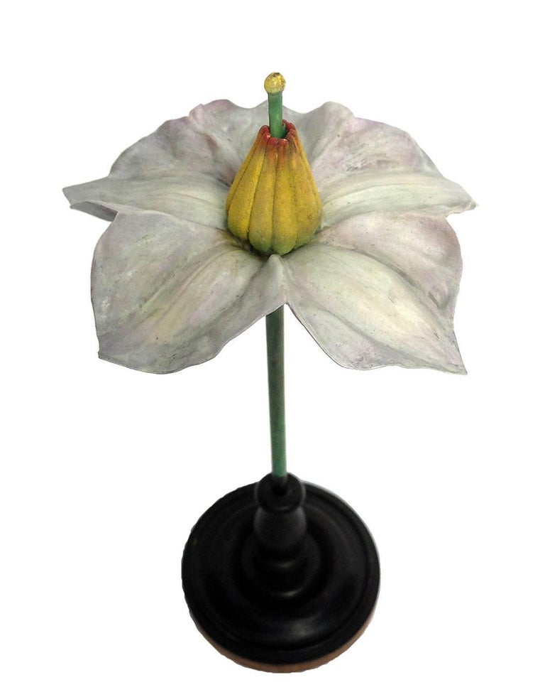 Botanic Flower Model, Milan Paravia, circa 1900 For Sale at 1stDibs