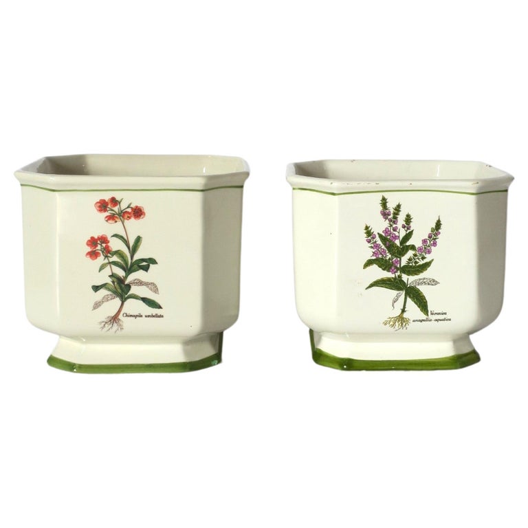 Botanical Flower or Plant Pot Holders Planters Cachepots, Set of 2 For ...