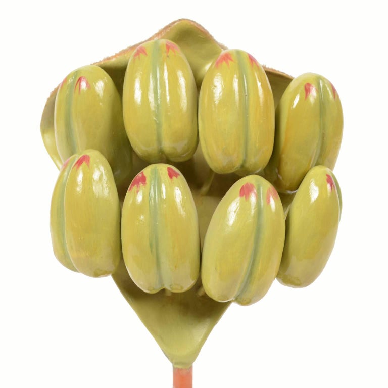 German 1930s Antique Botanical Model of the Corylus Avellana Hazelnut ...