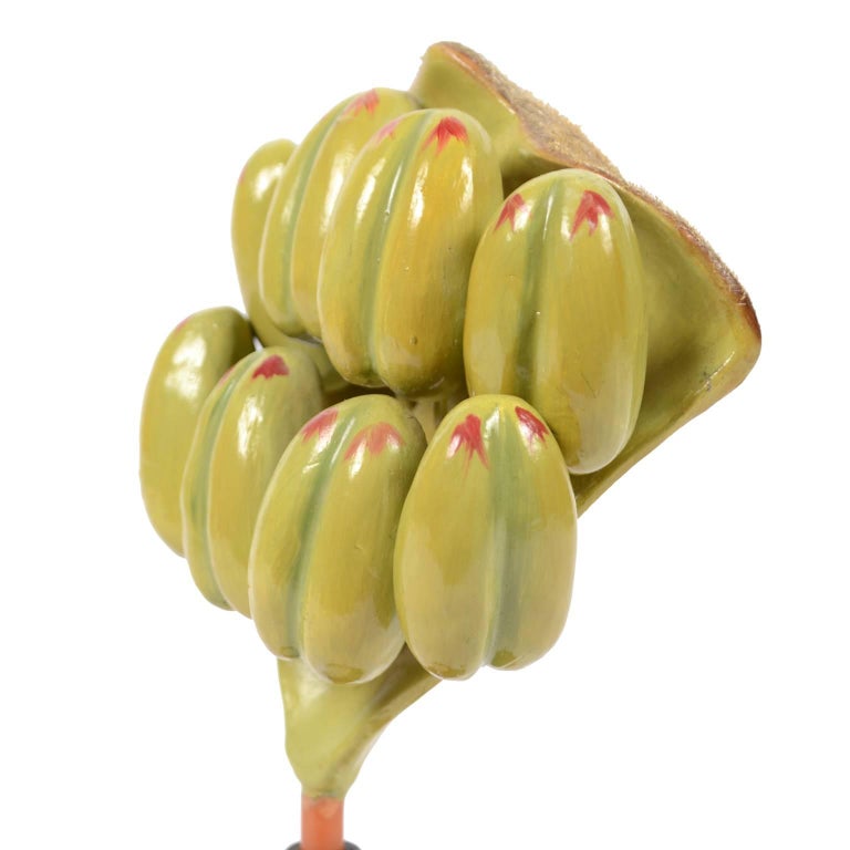 German 1930s Antique Botanical Model of the Corylus Avellana Hazelnut ...