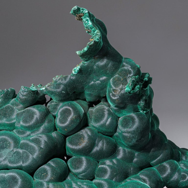 Botryoidal Malachite From Democratic Republic of the Congo For Sale at ...