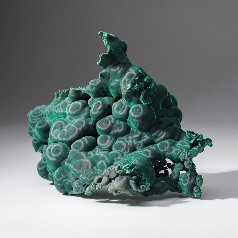 Botryoidal Malachite From Democratic Republic of the Congo For Sale at ...