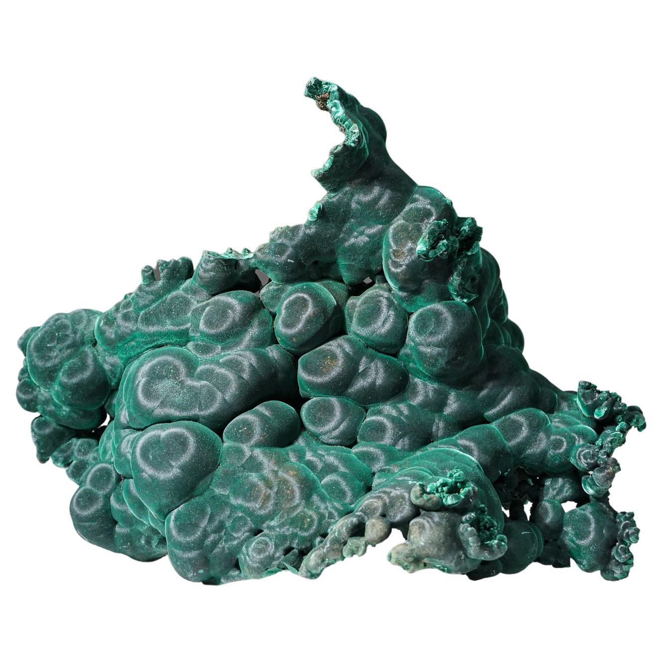 Western Mongo Shield from the Democratic Republic of Congo on Bronze ...