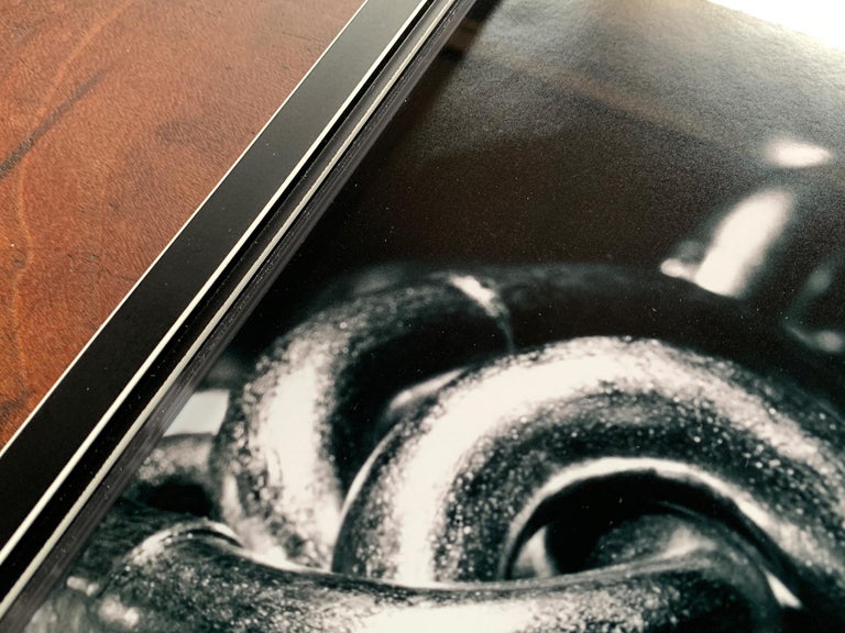 "Bound" - Photograph by Michael Stuetz For Sale at 1stDibs