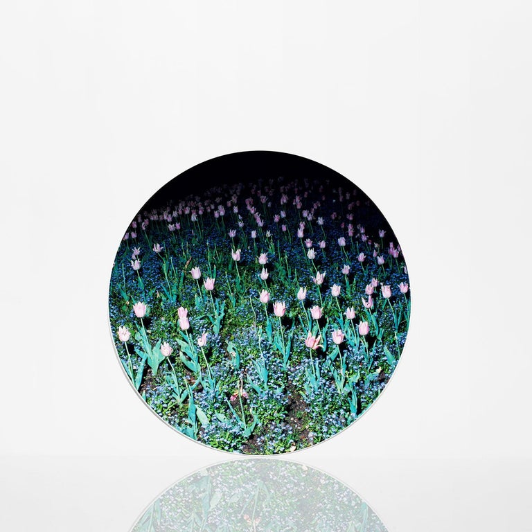 Box of 3 Porcelain Plates Collection Rue de Paradis Model " Tulips" For ...