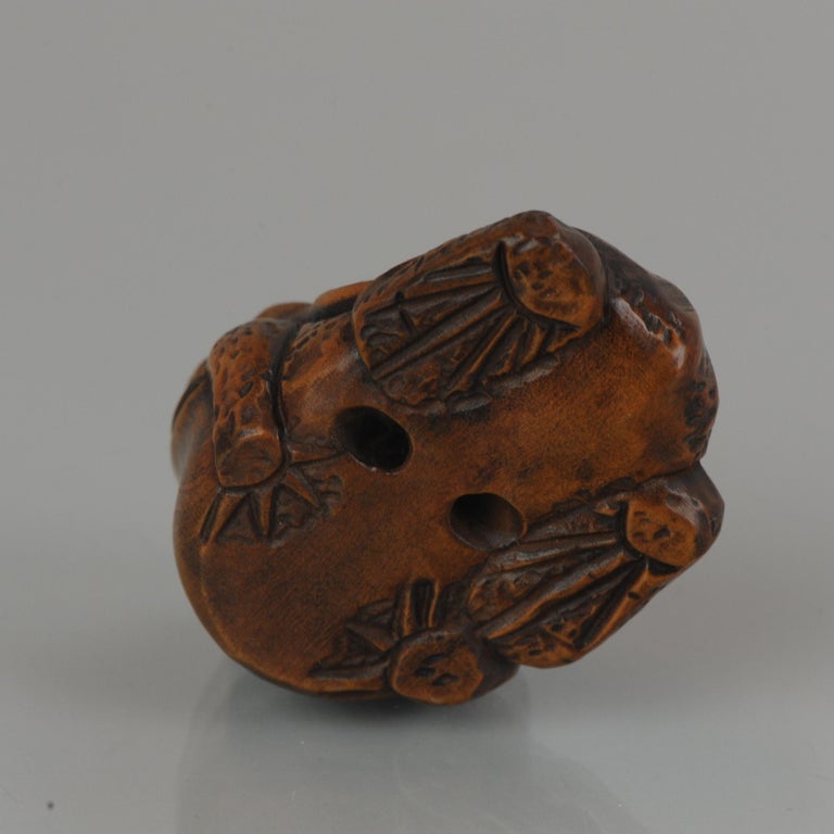 Box Wood Roar Frog Netsuke 19th-20th Century Japanese Japan Unsigned ...
