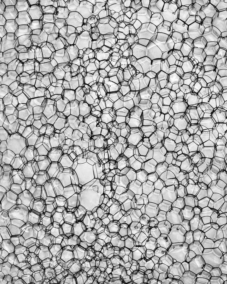 Brad Miller - Bubble Shadows Print 5 by Brad Miller (INV# NP3190) For ...