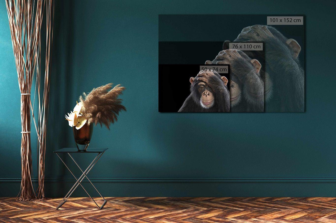 Brad Wilson - Chimpanzee #2 by Brad Wilson - Animal portrait ...