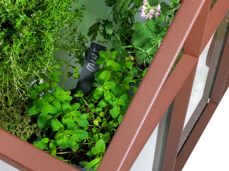 Revised Bramber - portable greenhouse For Sale at 1stDibs