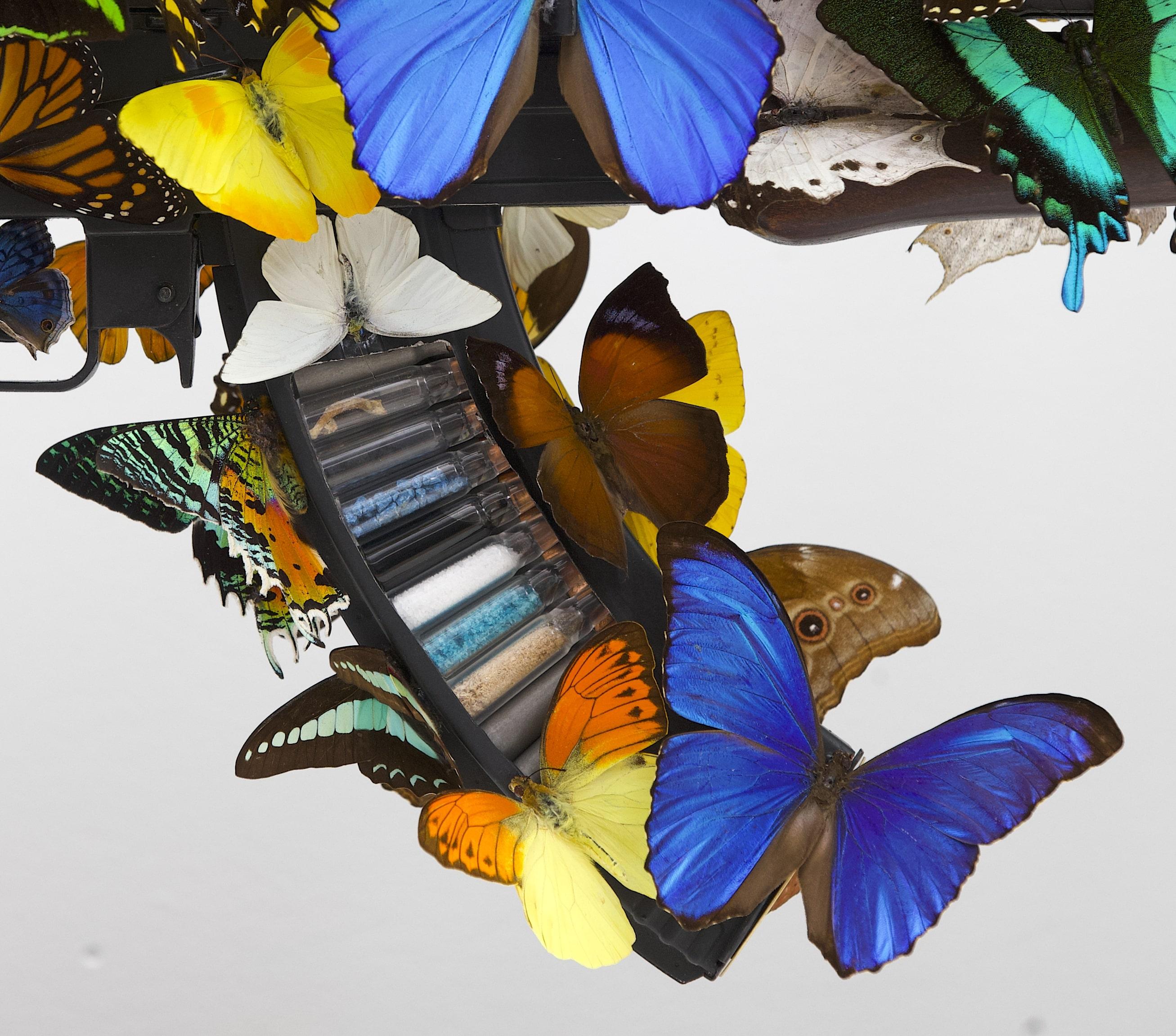 Bran Symondson - Beat Of A Wing For Sale at 1stDibs