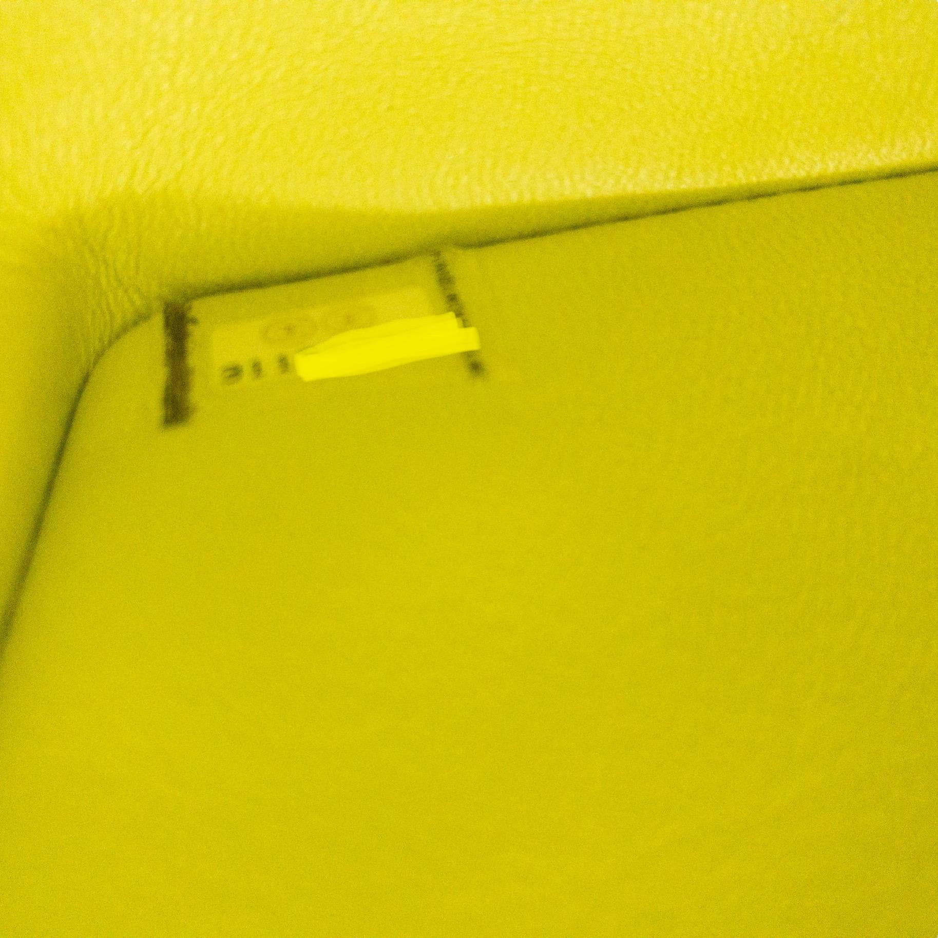 Brand New Chanel Neon Lambskin Medium Classic Flap For Sale at 1stDibs