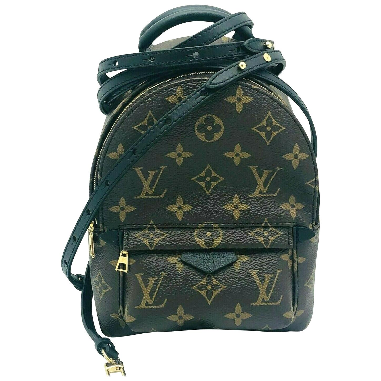 Brand New Louis Vuitton Palm Springs Mini Backpack Monogram For Sale at ...
