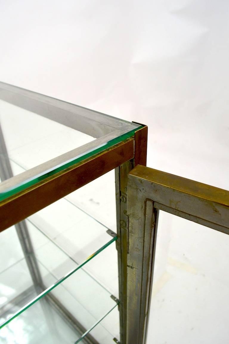Brass and Glass Specimen Display Showcase at 1stDibs