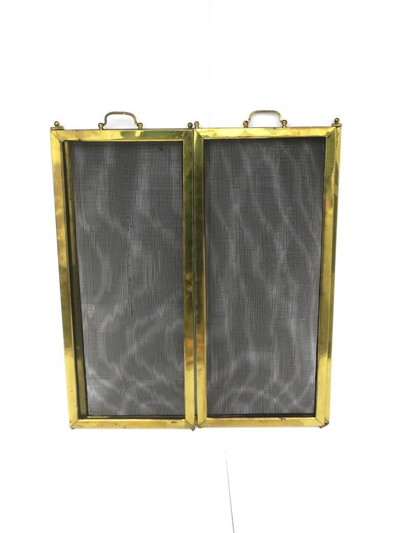 Brass Fireplace Screen For Sale at 1stDibs