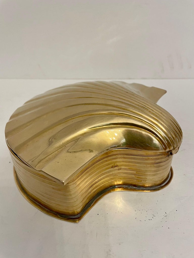 Brass Hinged Seashell Box For Sale at 1stDibs