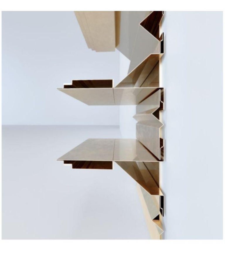 Brass Item 4 Turning Points Bookcase Shelf by Scattered Disc Objects ...