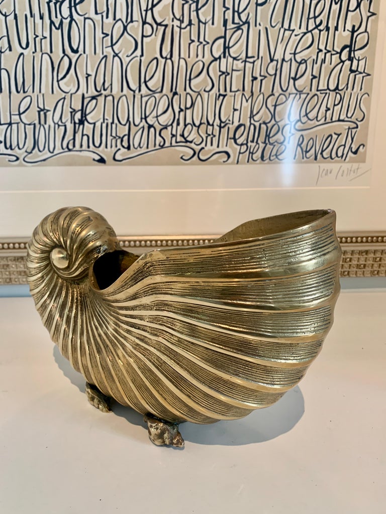 Brass Nautilus Shell Planter Cachepot with Shell Feet Details at ...