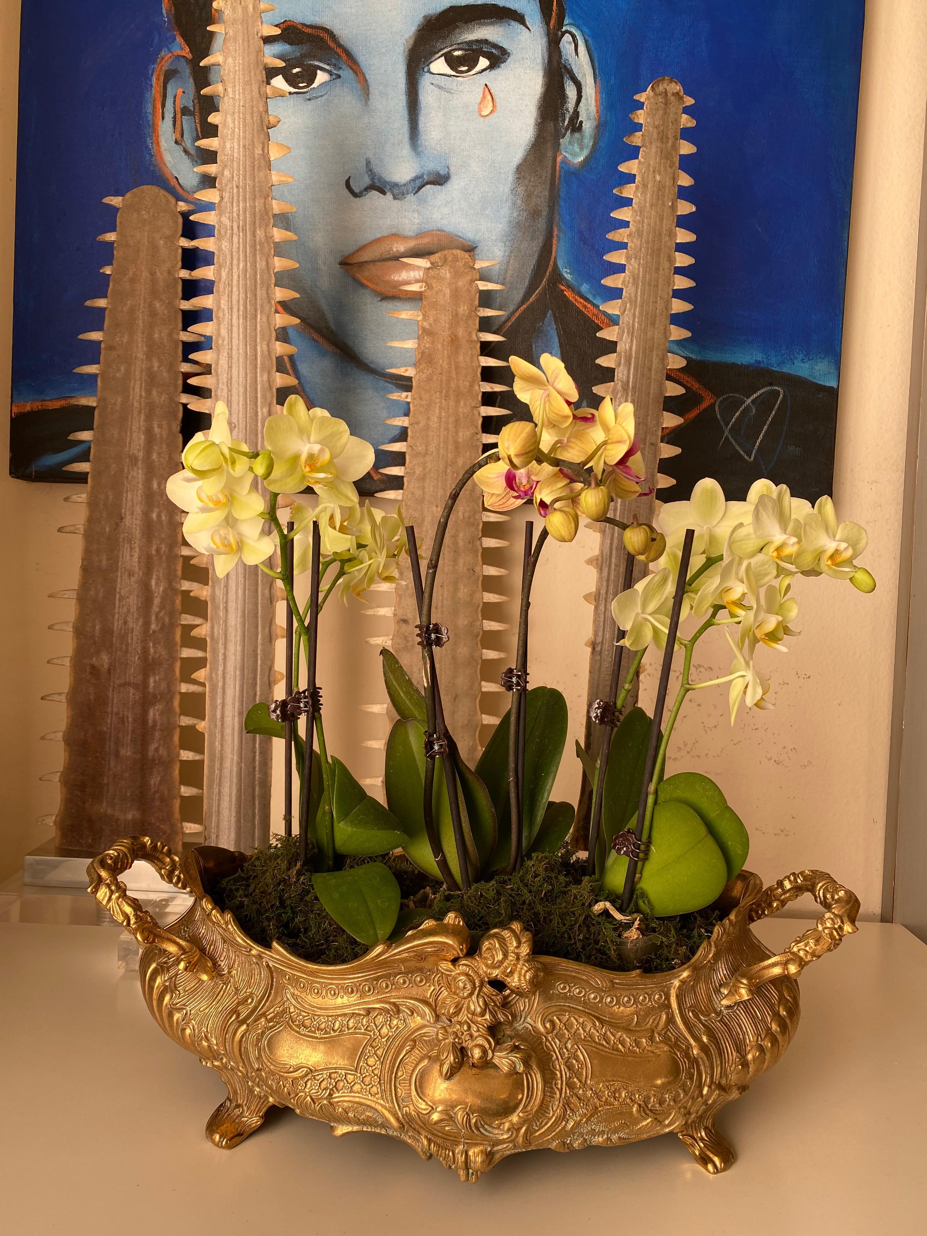 Brass Rococo Style Planter at 1stDibs