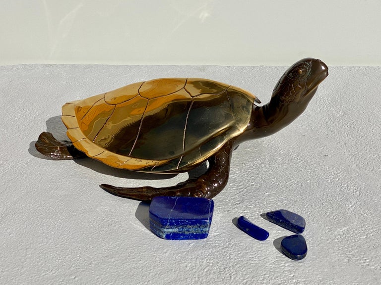 Brass Sea Turtle Sculpture / Box For Sale at 1stDibs