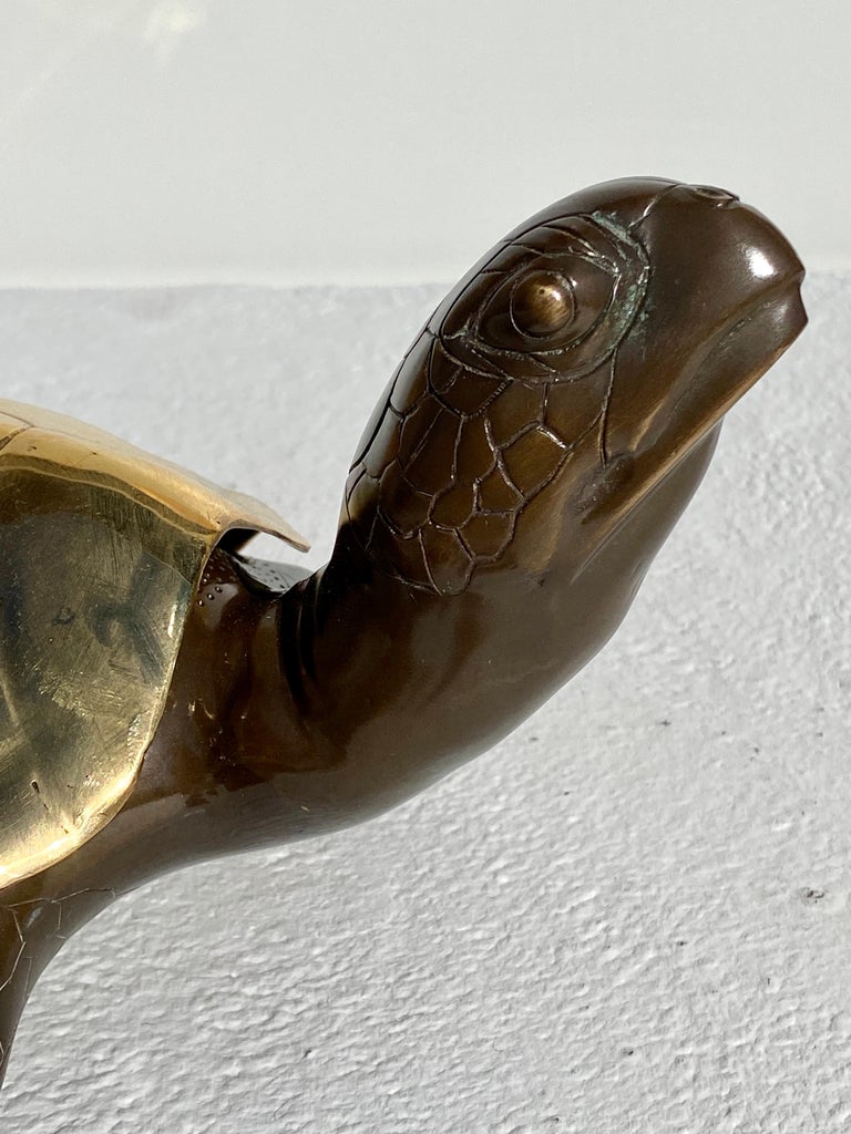 Brass Sea Turtle Sculpture / Box For Sale at 1stDibs
