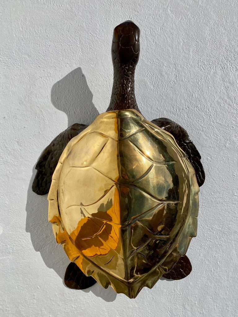Brass Sea Turtle Sculpture / Box For Sale at 1stDibs