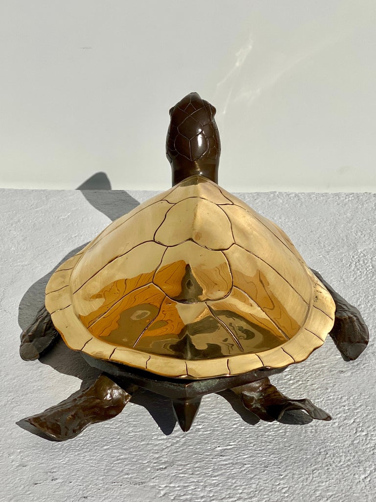 Brass Sea Turtle Sculpture / Box For Sale at 1stDibs