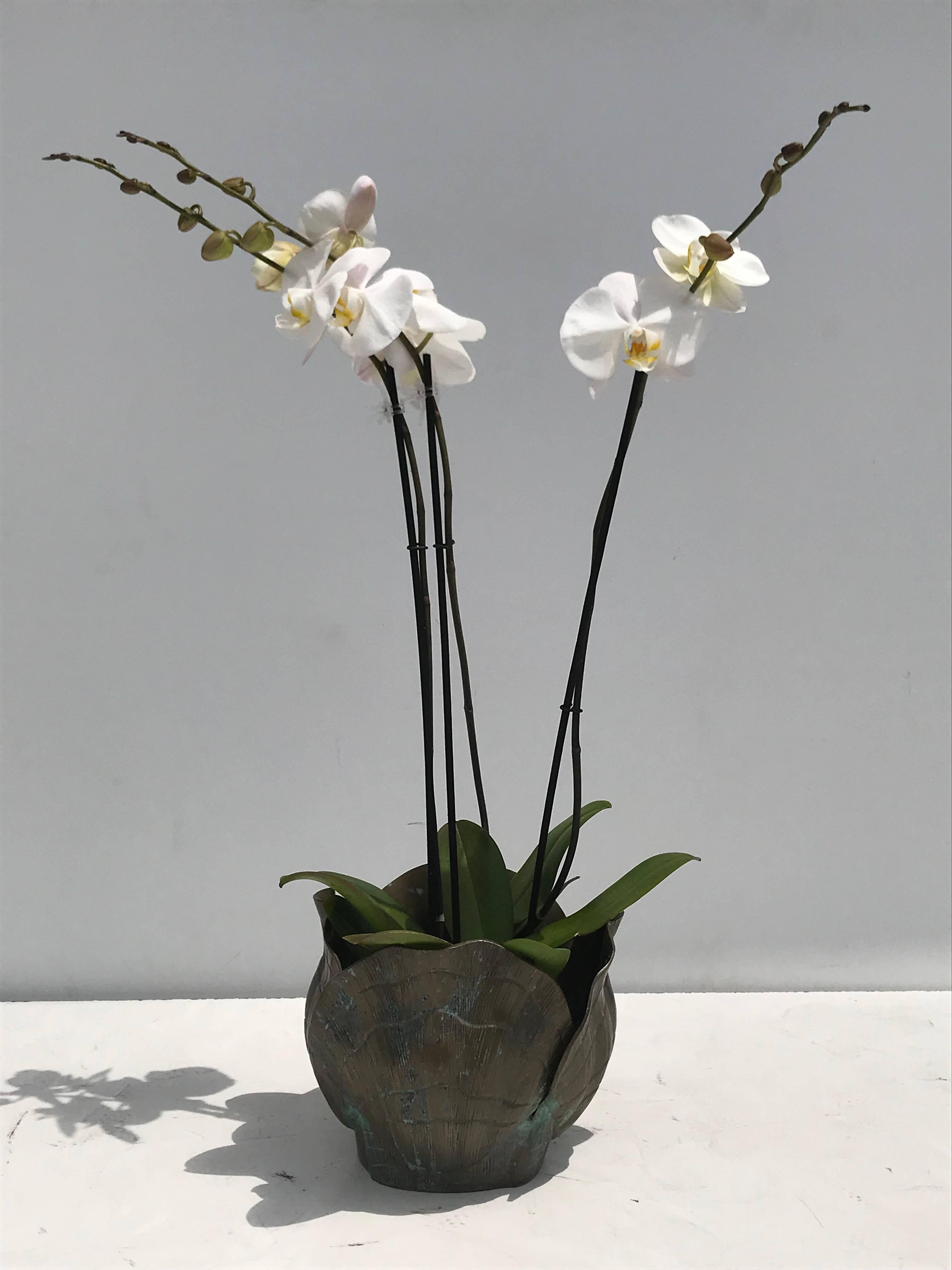 Brass Shell Planter in Verdigris Patina at 1stDibs
