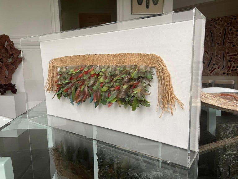 Brazilian Feather Headdress Guajajara Tribe Ex-Museum Piece For Sale at ...