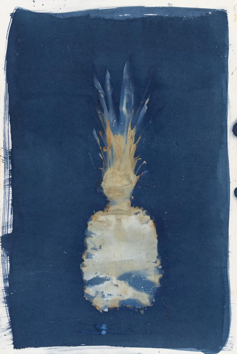Brian Buckley - Pineapple VII For Sale at 1stDibs