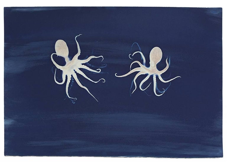Brian Buckley - Octopus (Twins) at 1stDibs