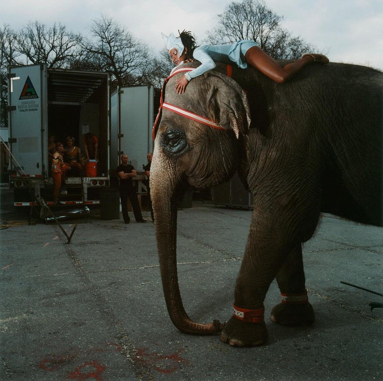 Brian Finke - Untitled (Circus no. 3), photograph For Sale at 1stDibs