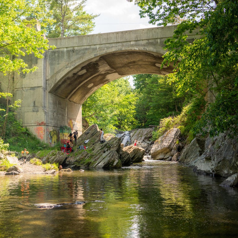 Brian Finke - Untitled (Swimming Wild no. 1), 2021 For Sale at 1stDibs