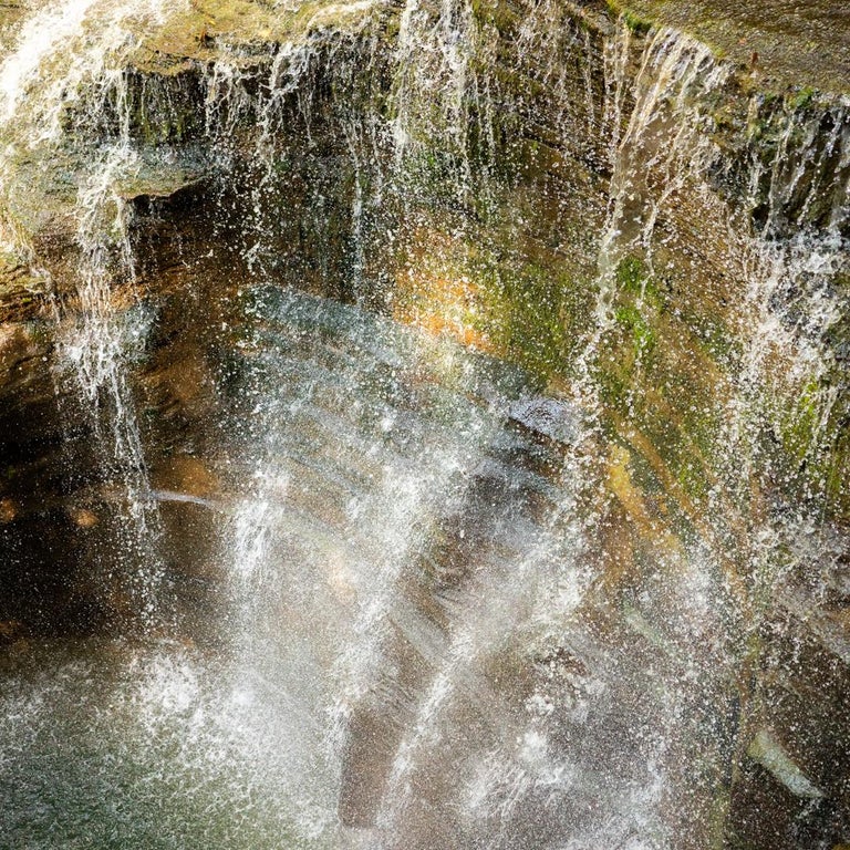 Brian Finke - Untitled (Swimming Wild no. 13) For Sale at 1stDibs