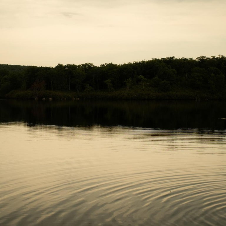 Brian Finke - Untitled (Swimming Wild no. 14) For Sale at 1stDibs