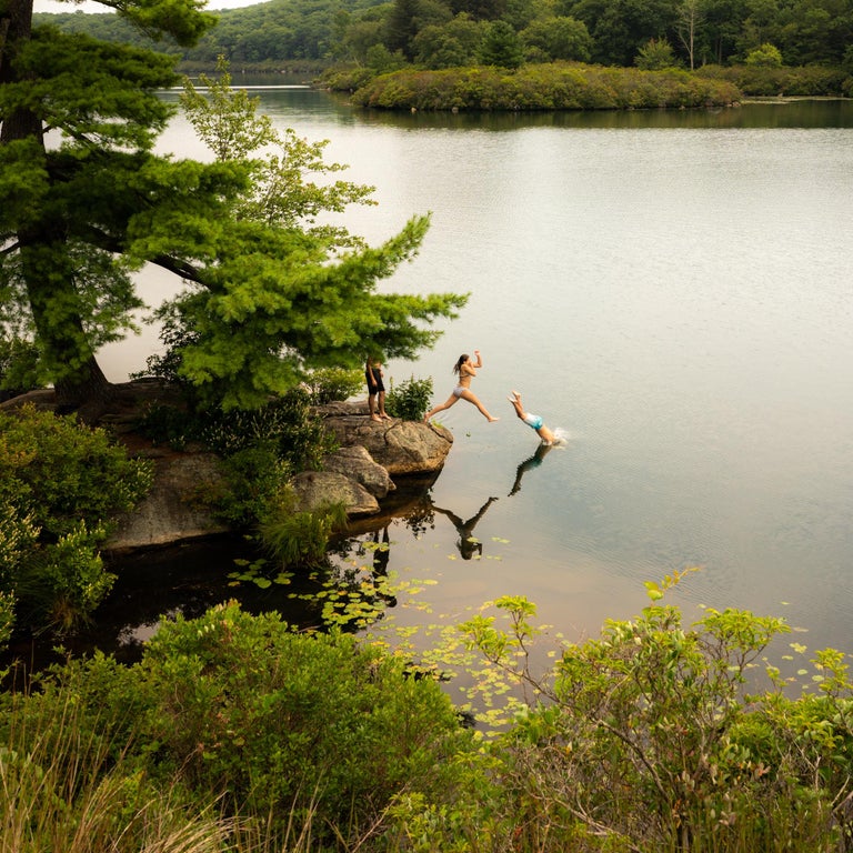 Brian Finke - Untitled (Swimming Wild no. 3), 2021 For Sale at 1stDibs