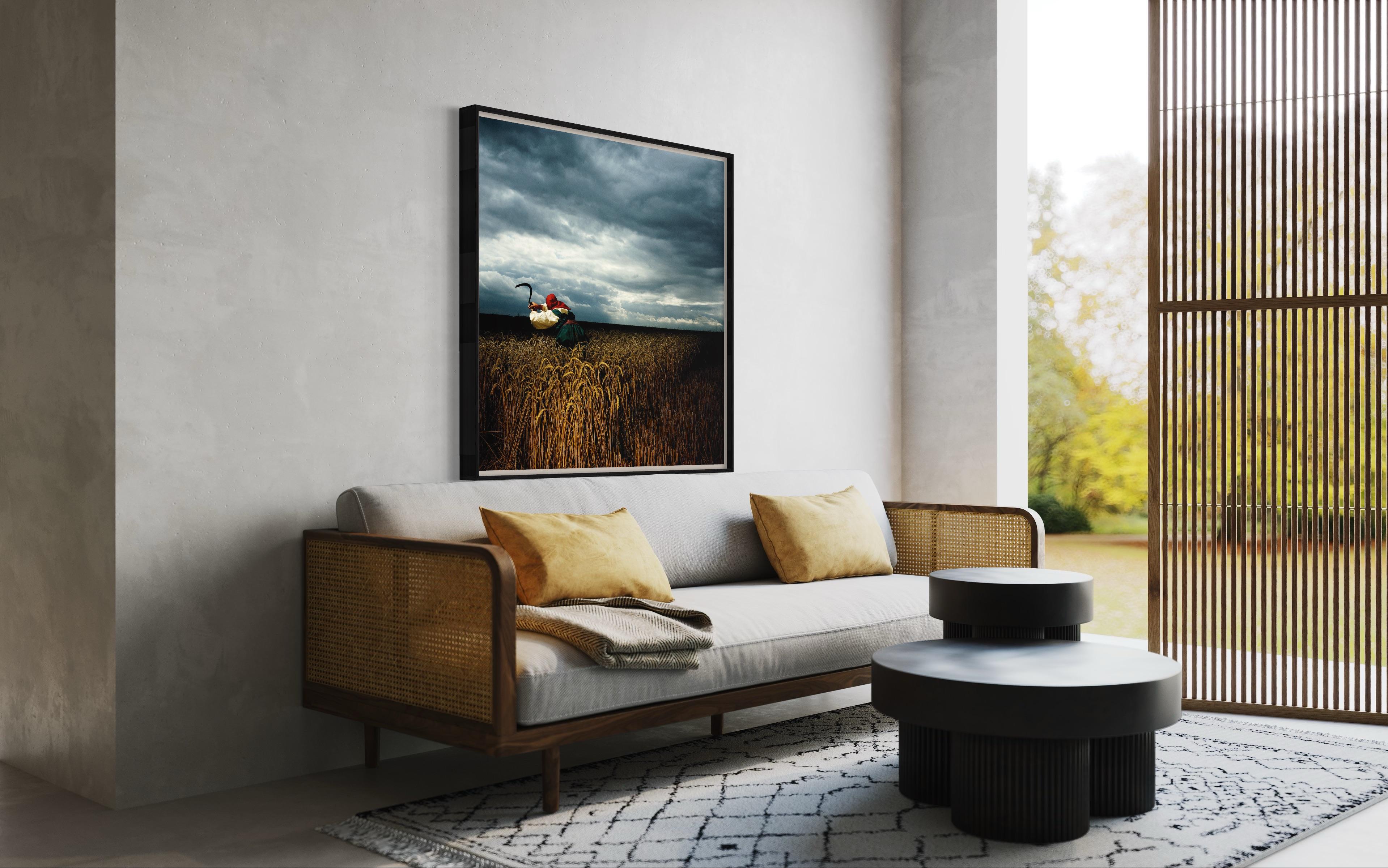 Brian Griffin - A landscape with woman in red scarf and scythe in ...