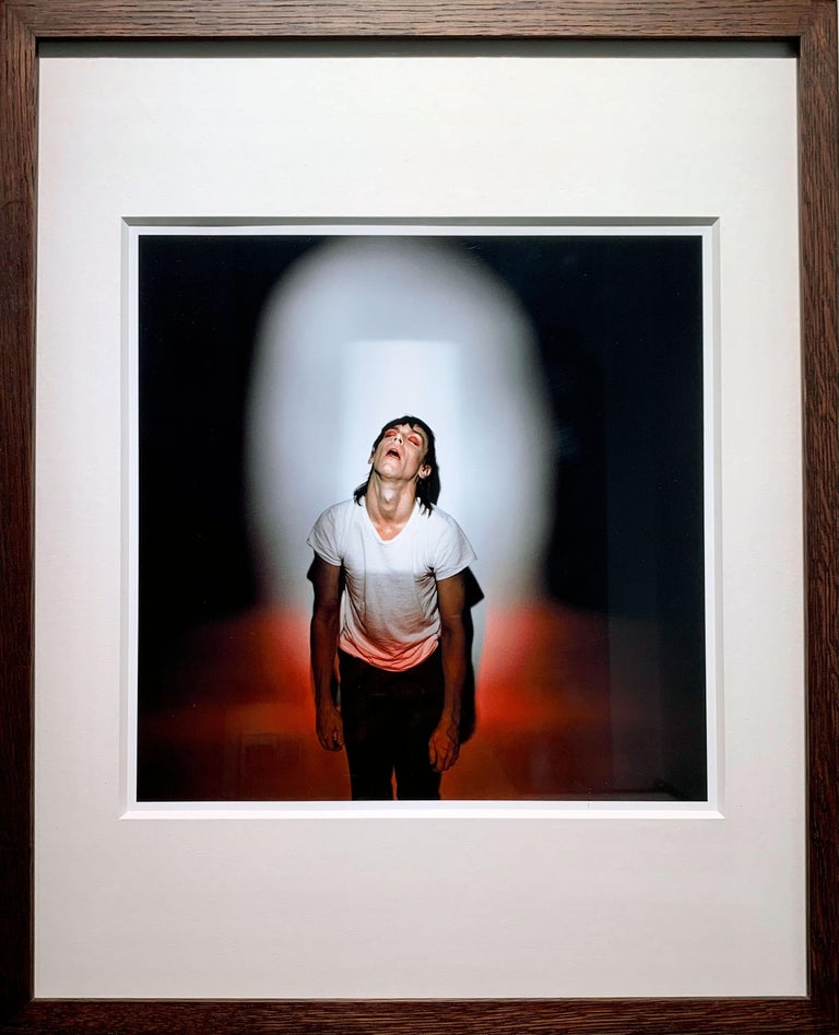 Brian Griffin - Iggy Pop, from the album cover Soldier 1980, Studio ...