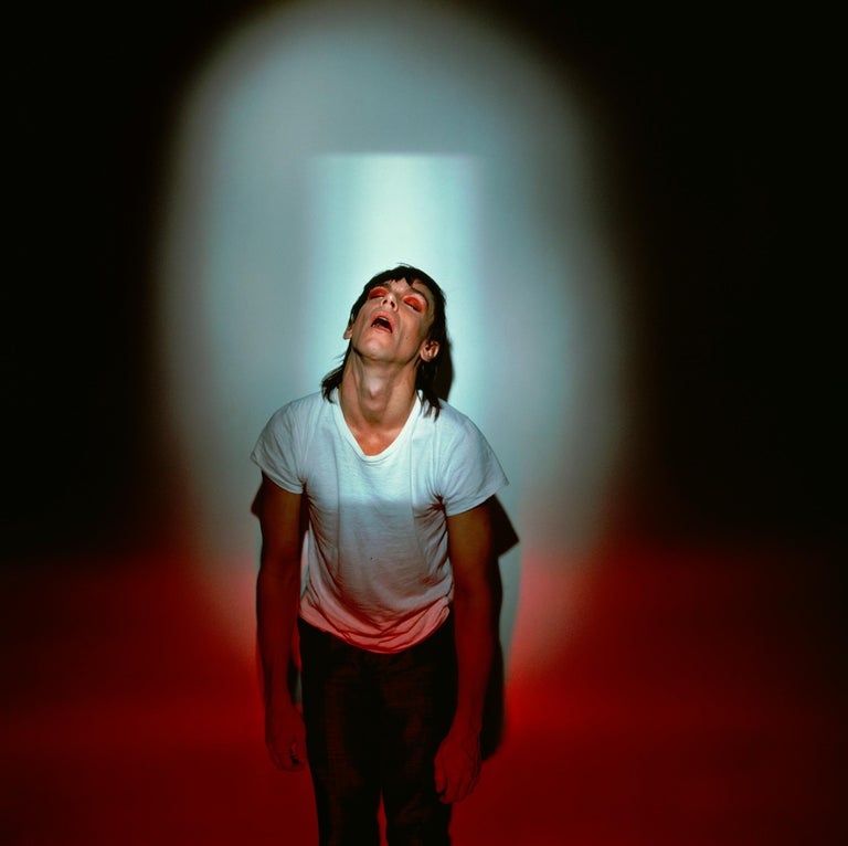 Brian Griffin - Iggy Pop, from the album cover Soldier 1980, Studio ...