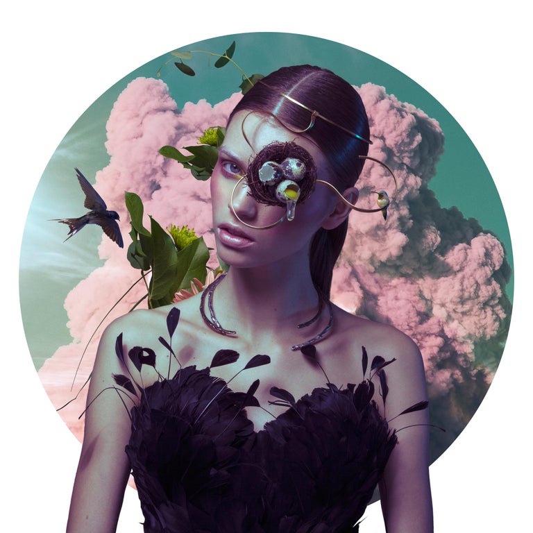 Brian Ziff - “Wasted Youth” Photography 24" x 24" inch Edition of 24 by ...