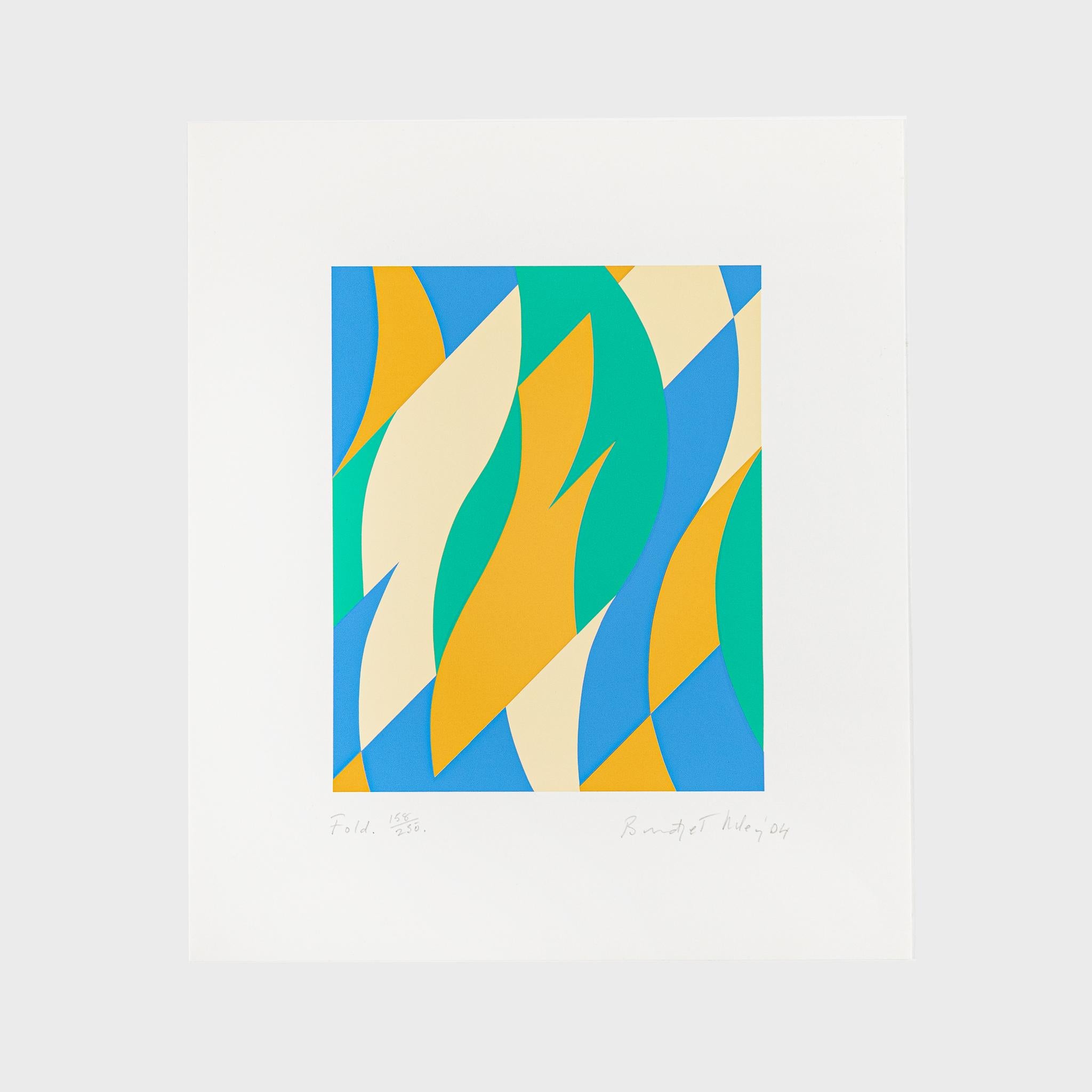 Bridget Riley - Fold Bridget Riley Female British Artist, Colourful ...
